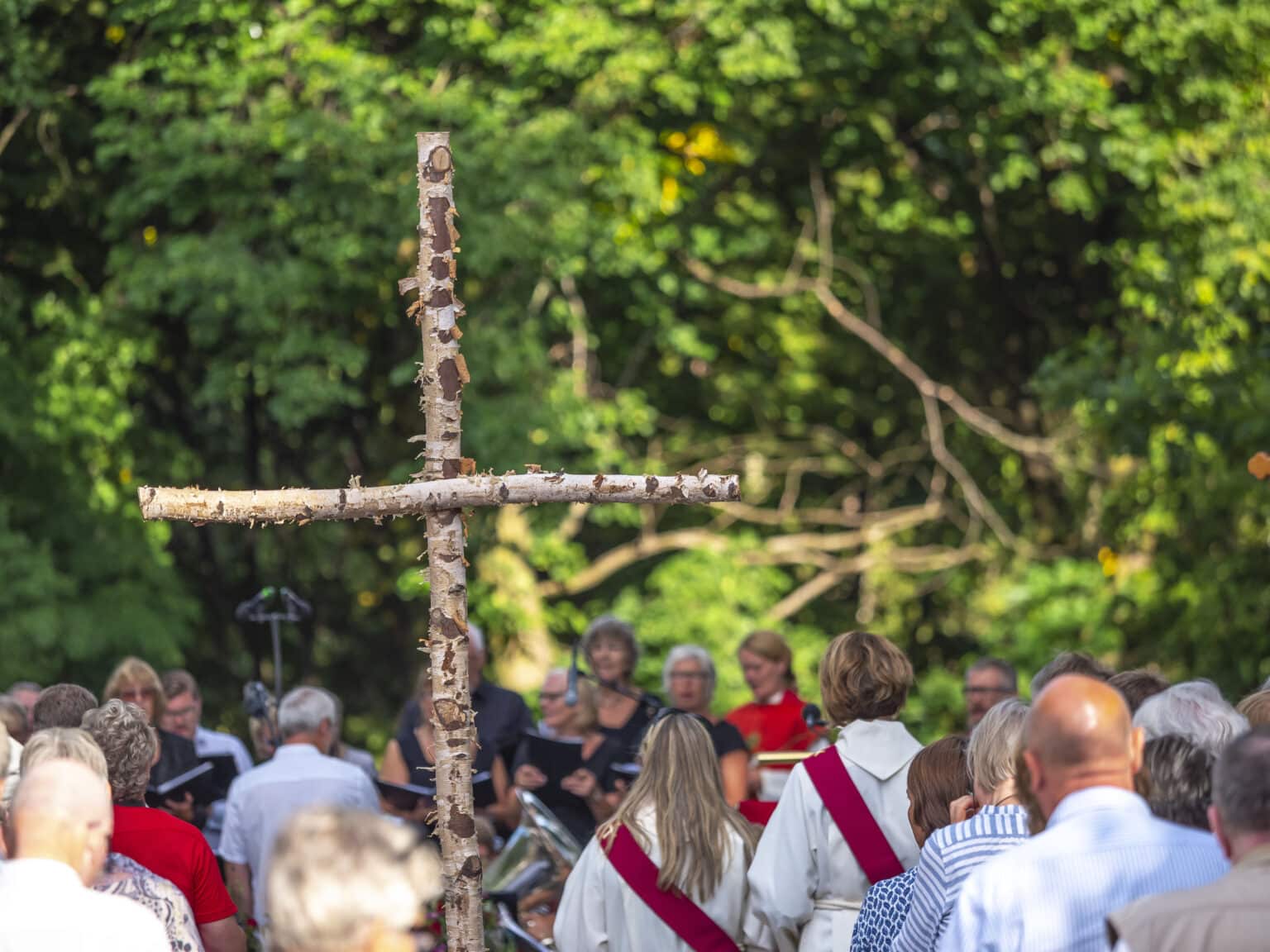 Program - Olavdagene